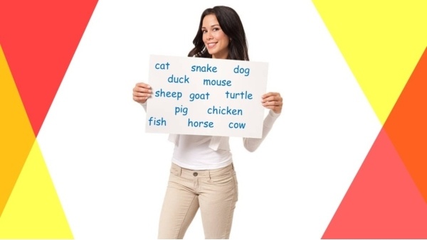 Kim's Game: A Memorable ESL Vocabulary Game - Star Teacher Training